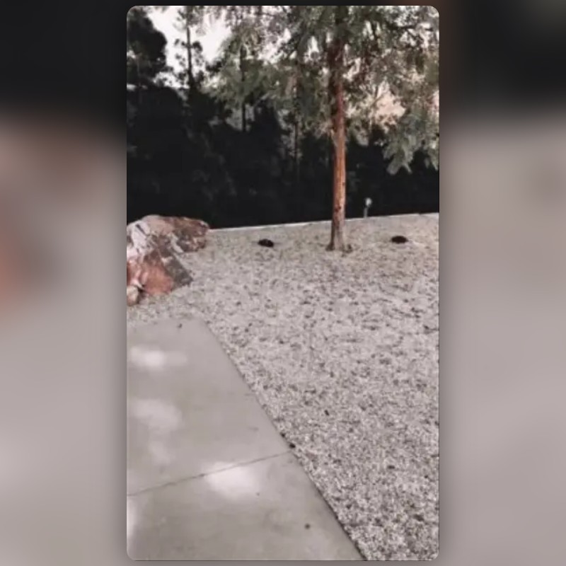 LUT Sample Lens by Nahir Esper - Snapchat Lenses and Filters