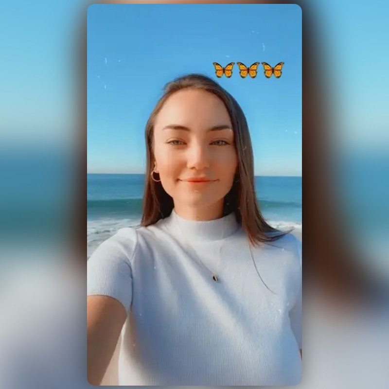 Butterfly Stickers Filter by Snapchat | Snapchat Lenses