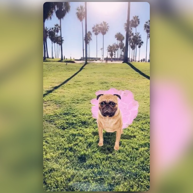 Dancing Pugdog Filter by Snapchat | Snapchat Lenses