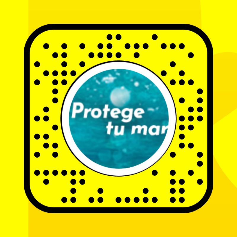 Scan NB from 26-07 Filter by Atomic Digital Design | Snapchat Lenses