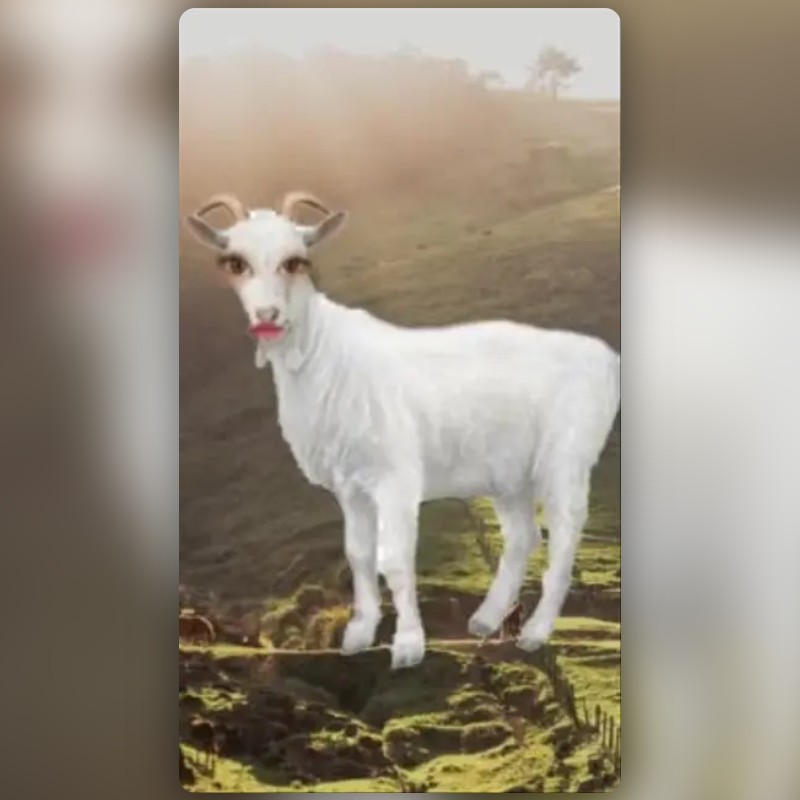 Mountain Goat Filter by Danielle Grace | Snapchat Lenses