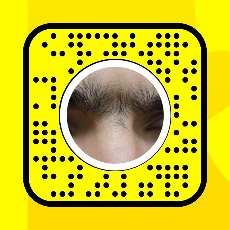 Unibrow Filter by Bob Ross | Snapchat Lenses