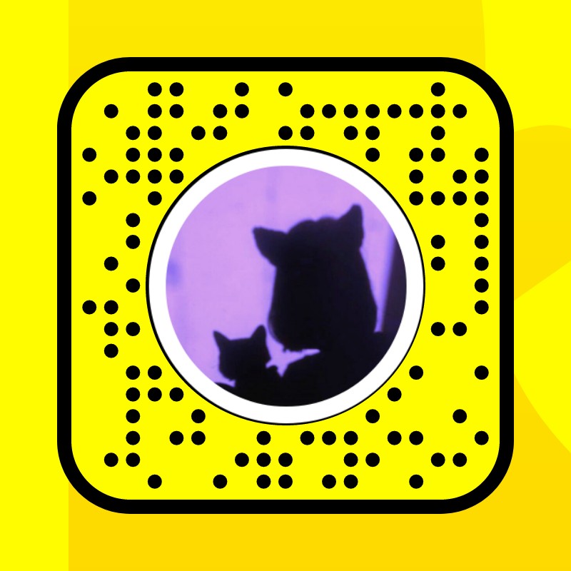 Cat Girl Lens by Cem Alkan 🕷️ - Snapchat Lenses and Filters