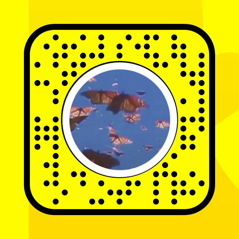 BUTTERFLY GLOSS Lens by zuzu - Snapchat Lenses and Filters