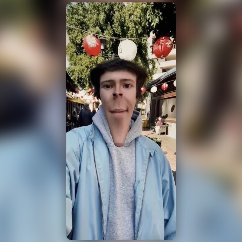 เลนส์ Triangle Face สร้างโดย Snapchat - เลนส์และฟิลเตอร์ Snapchat