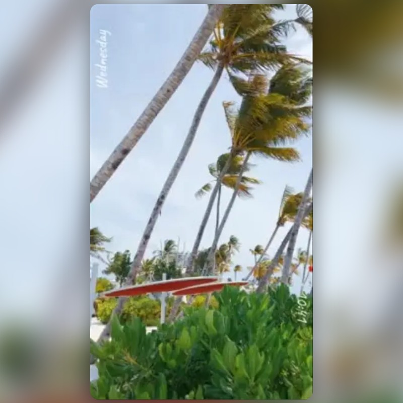 nature Filter by - @ksham - | Snapchat Lenses