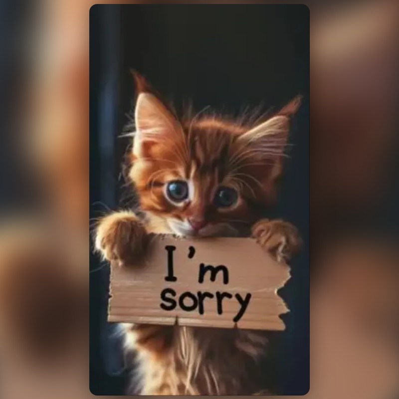 Sorry Sonny Filter by Dj Navi Jain | Snapchat Lenses