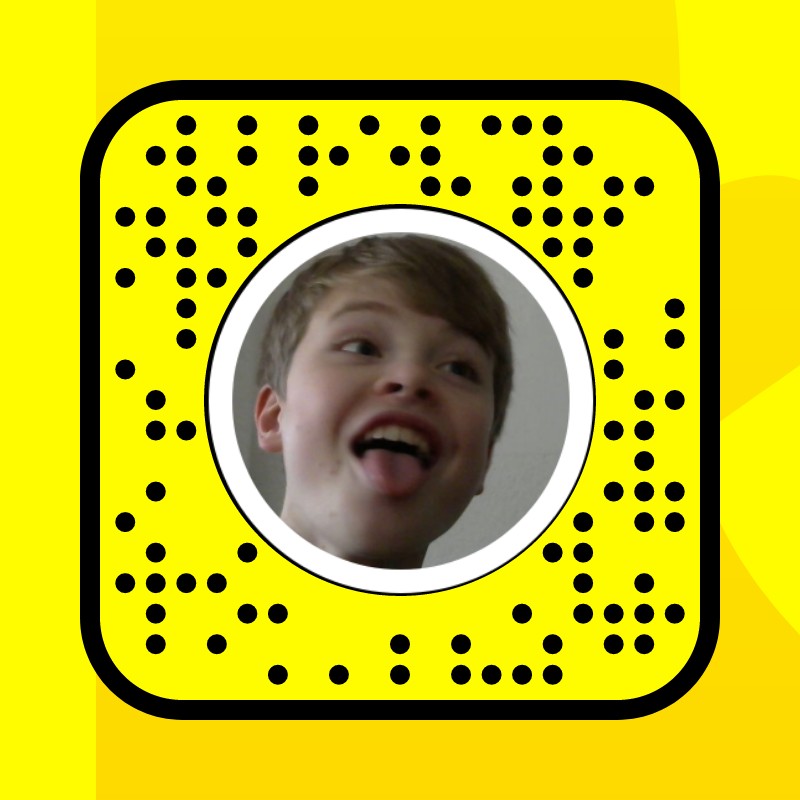 Lion Backflip Filter by Leon | Snapchat Lenses