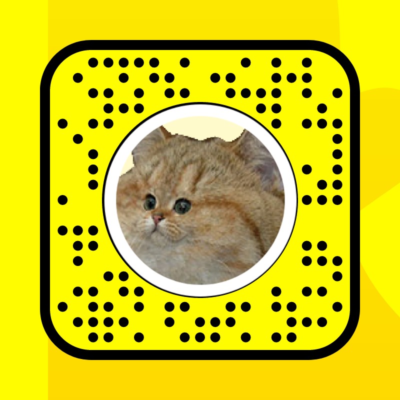 cat war Lens by josh - Snapchat Lenses and Filters