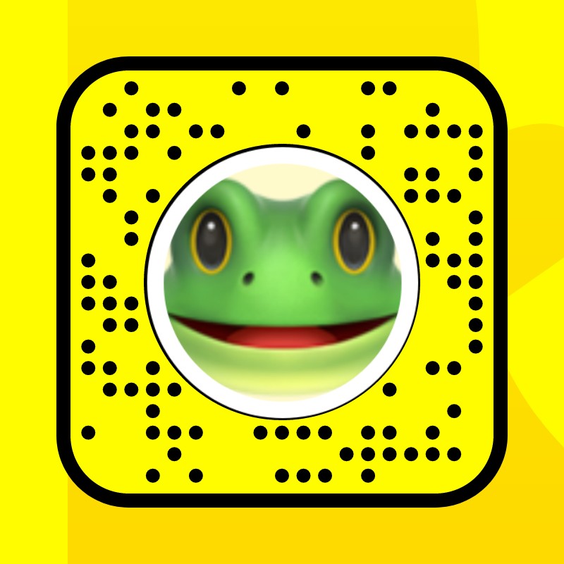 frog face jd Lens by ⌖ - Snapchat Lenses and Filters