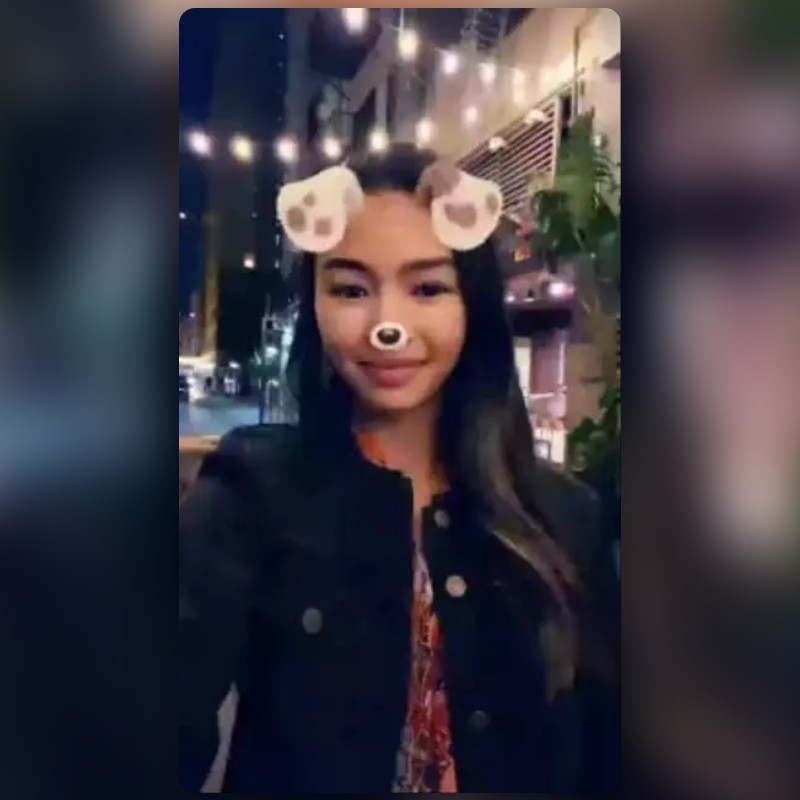 dog Lens by Twins🇸🇦 - Snapchat Lenses and Filters