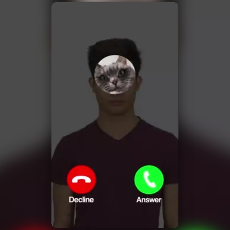 Cat Facetime Lens by Snapchat - Snapchat Lenses and Filters