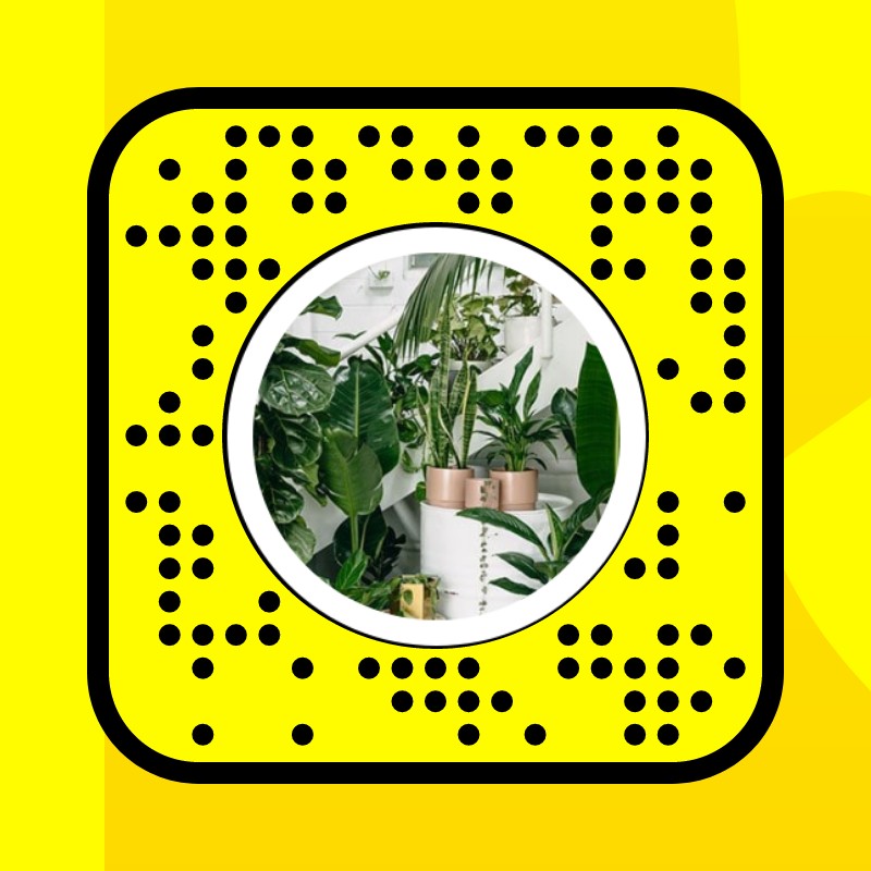 Green indoor plant Filter by Ming Prince | Snapchat Lenses