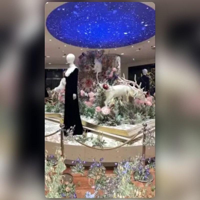 Dior Pop-Up Filter by Dior | Snapchat Lenses