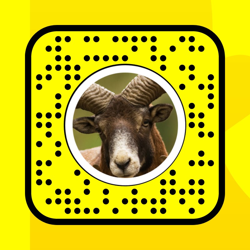 Horns Filter by Jake Bateman | Snapchat Lenses