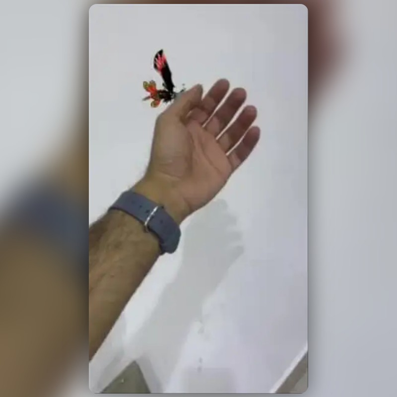 phoenix Lens by Snapchat - Snapchat Lenses and Filters