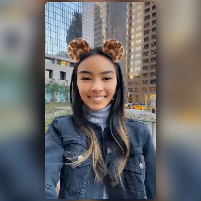 Fluffy Bear Ears Filter by Snapchat | Snapchat Lenses
