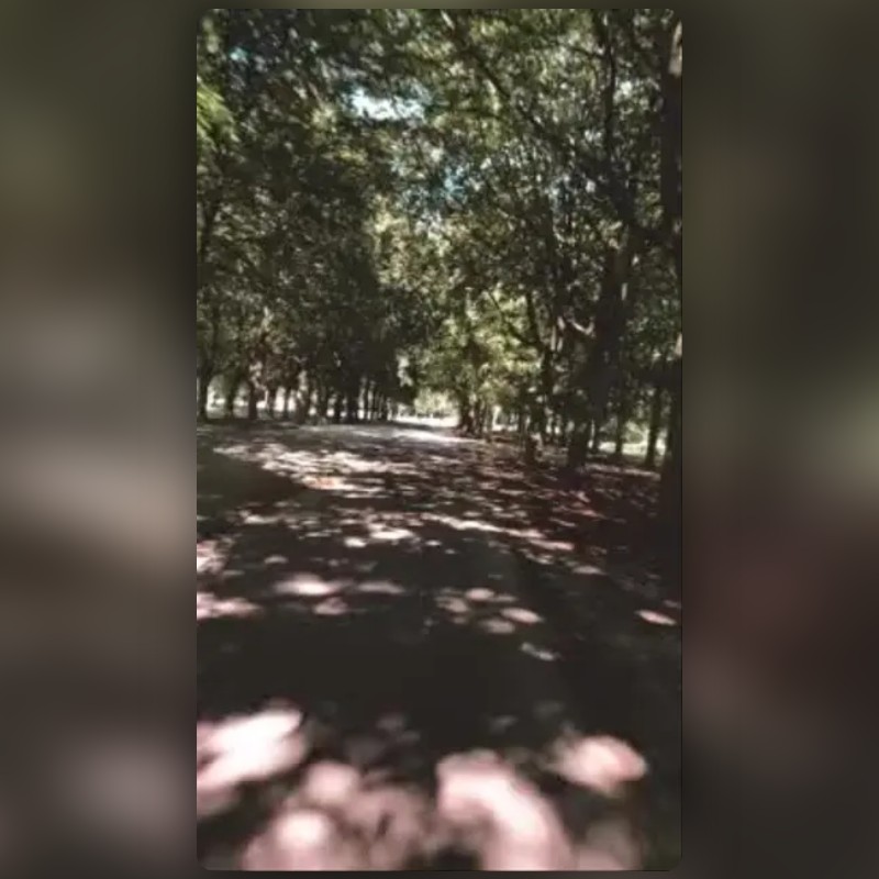 Fall Lens by Max - Snapchat Lenses and Filters