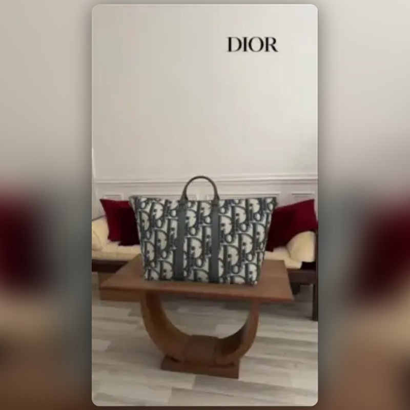 Dior Weekender Bag Lens by Dior - Snapchat Lenses and Filters