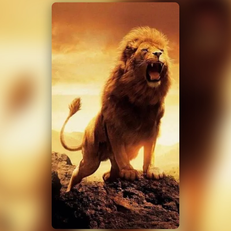 animal twin Lens by Karwan Barxa Spi - Snapchat Lenses and Filters