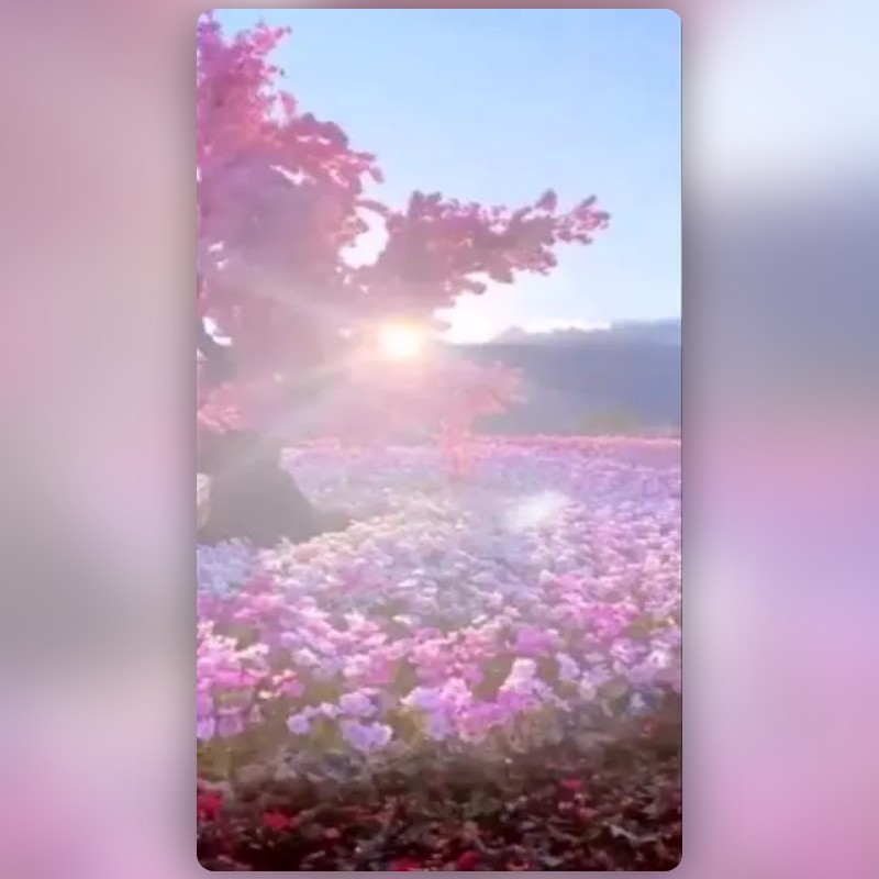 เลนส์ PINK GARDEN VIEW สร้างโดย CruzeMedia ( ਖੰਨੇ ਆਲੇ ) - เลนส์และ ...