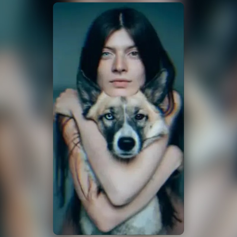 Dog Filters Filter by kurdstan | Snapchat Lenses