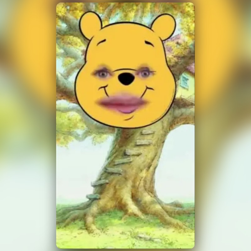funny pooh bear Lens by sk - Snapchat Lenses and Filters