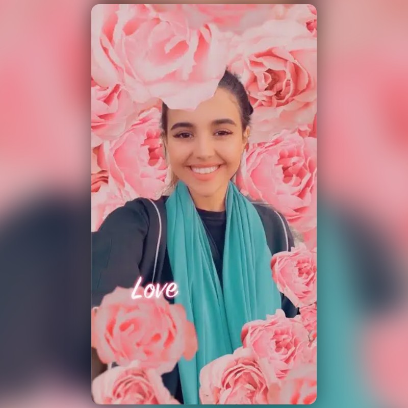 Pink Roses Filter by Snapchat | Snapchat Lenses