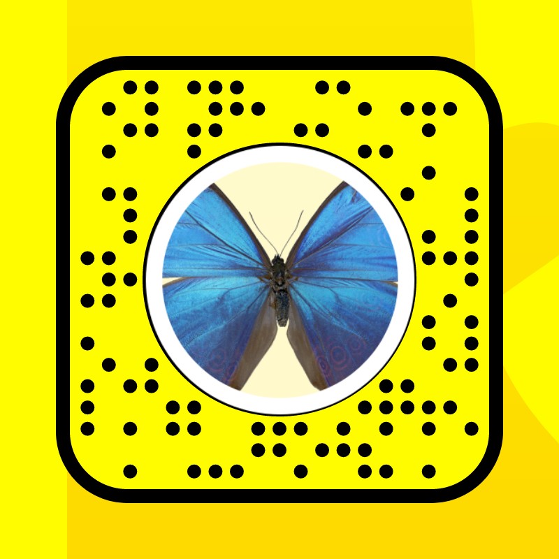 Butterfly Vision Filter by Ethan R | Snapchat Lenses