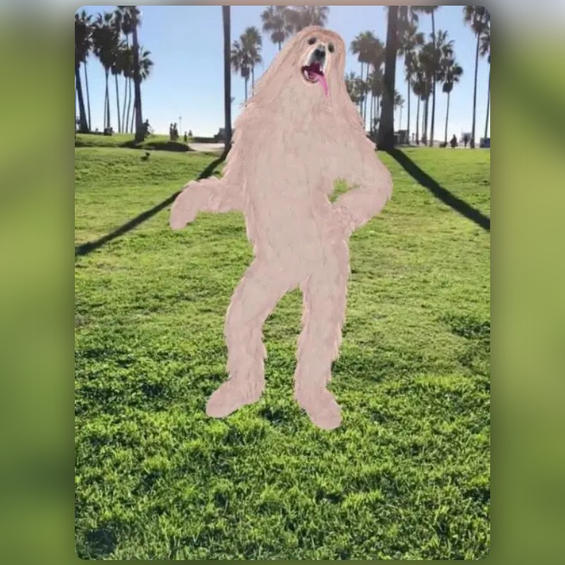 Dog Dance Lens by Snapchat - Snapchat Lenses and Filters