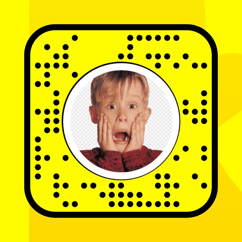 HOME ALONE SHOCKED Lens by M. Fathan Mubina - Snapchat Lenses and Filters