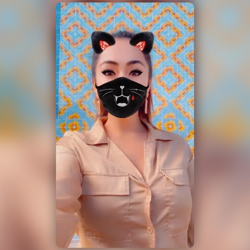 Cat in Mask Lens by Snapchat - Snapchat Lenses and Filters