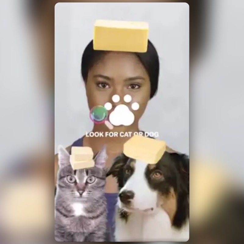 Butter Dog Lens by Jawn - Snapchat Lenses and Filters