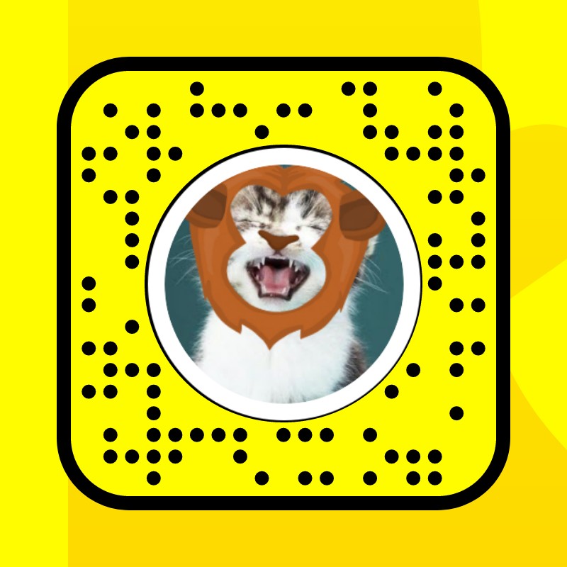 Lion Filter by VR Innovations | Snapchat Lenses