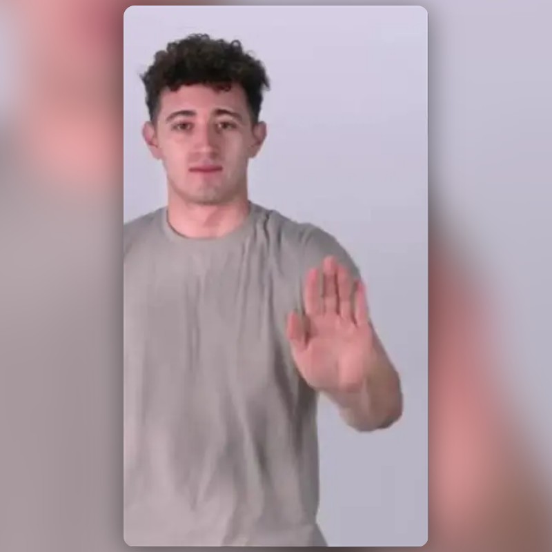 Green Screen Hand Filter by Gray | Snapchat Lenses