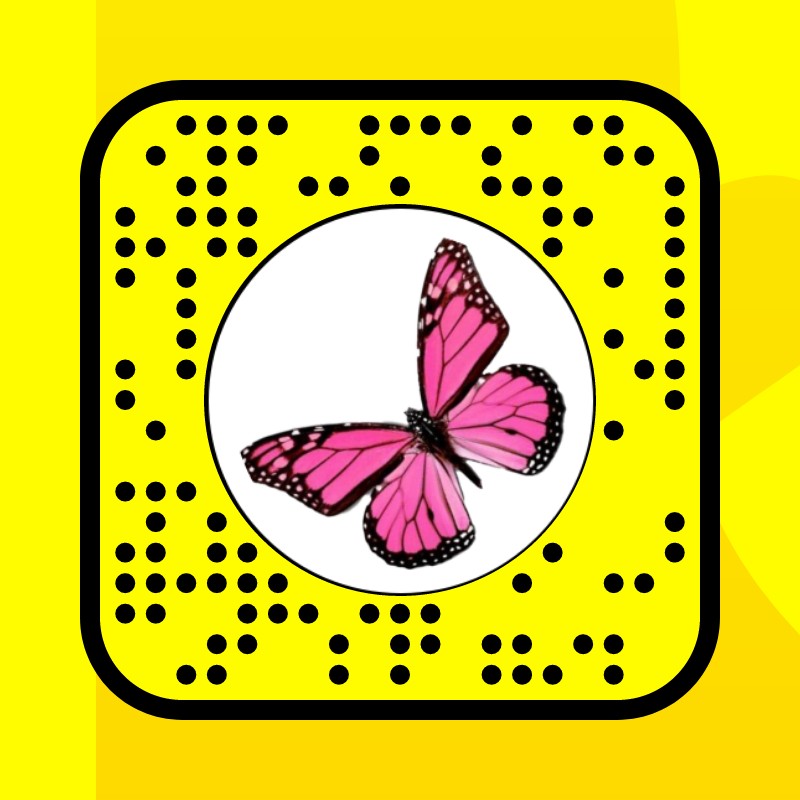 Pink butterflies Filter by rachel harvie | Snapchat Lenses