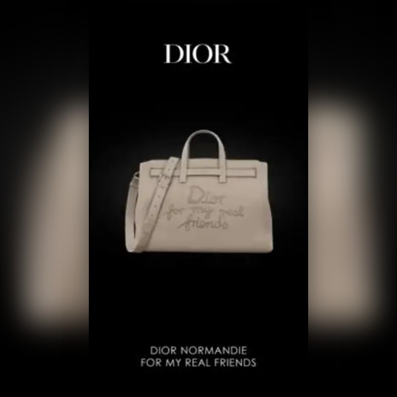 Dior Normandie Filter by Dior | Snapchat Lenses