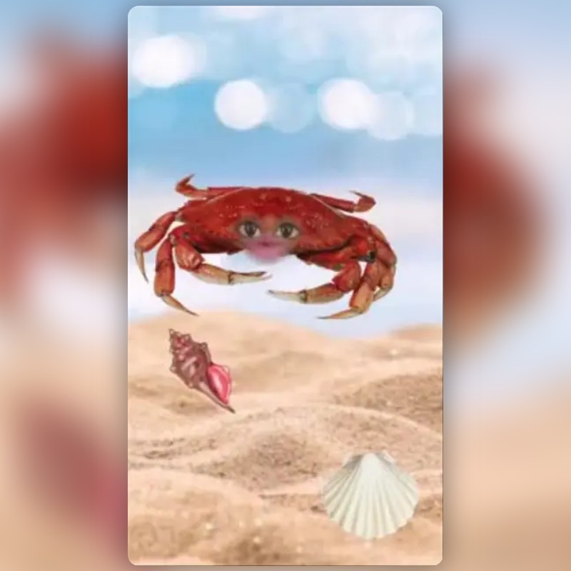 Crab Head Filter by Anastasia Berliana | Snapchat Lenses