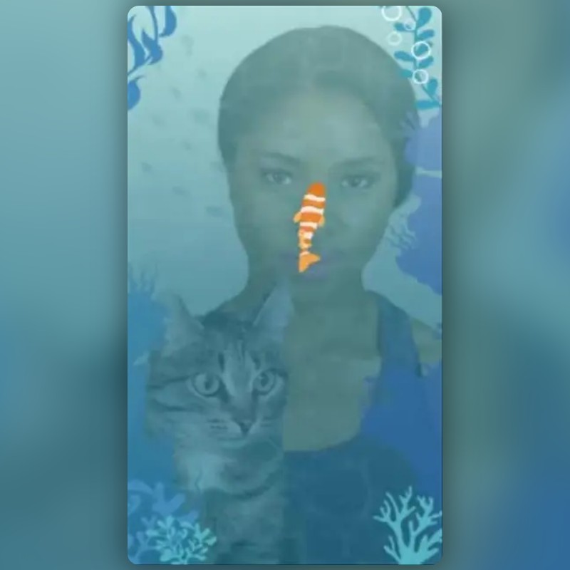 Seagull Escape Filter by Aden | Snapchat Lenses