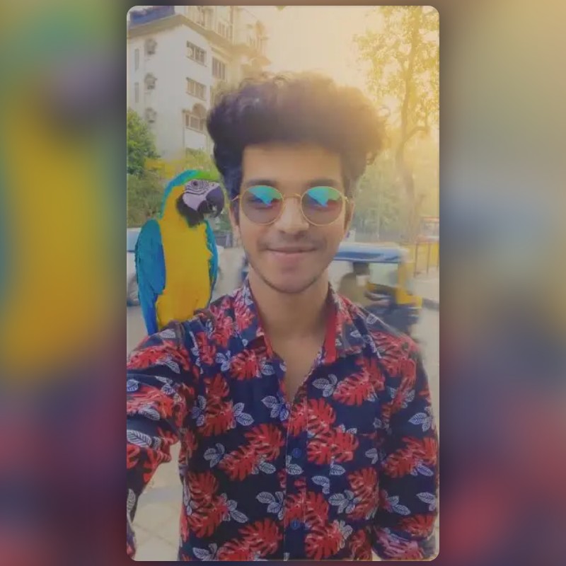 Parrot 🦜 Filter by Snapchat | Snapchat Lenses