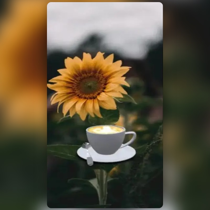 Cup Of Coffee Lens by Dr. Jagmeet Singh - Snapchat Lenses and Filters