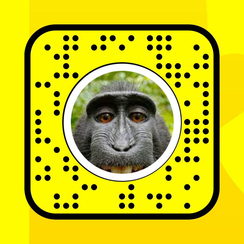 What monkey am I Filter by Elijah 👹 | Snapchat Lenses