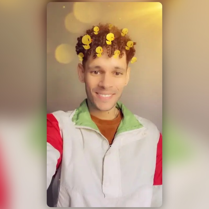 Duck Mood Lens by Snapchat - Snapchat Lenses and Filters