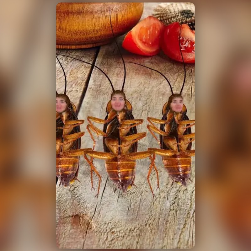 Cockroach dance Filter by Snapchat | Snapchat Lenses