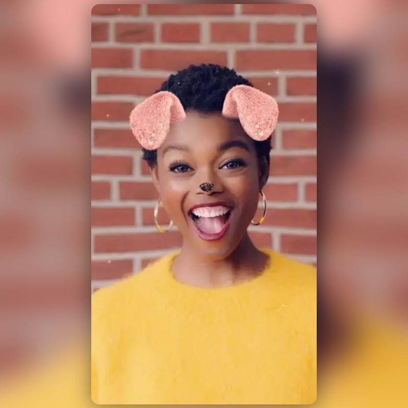 Sparkle Dog Lens by Snapchat - Snapchat Lenses and Filters