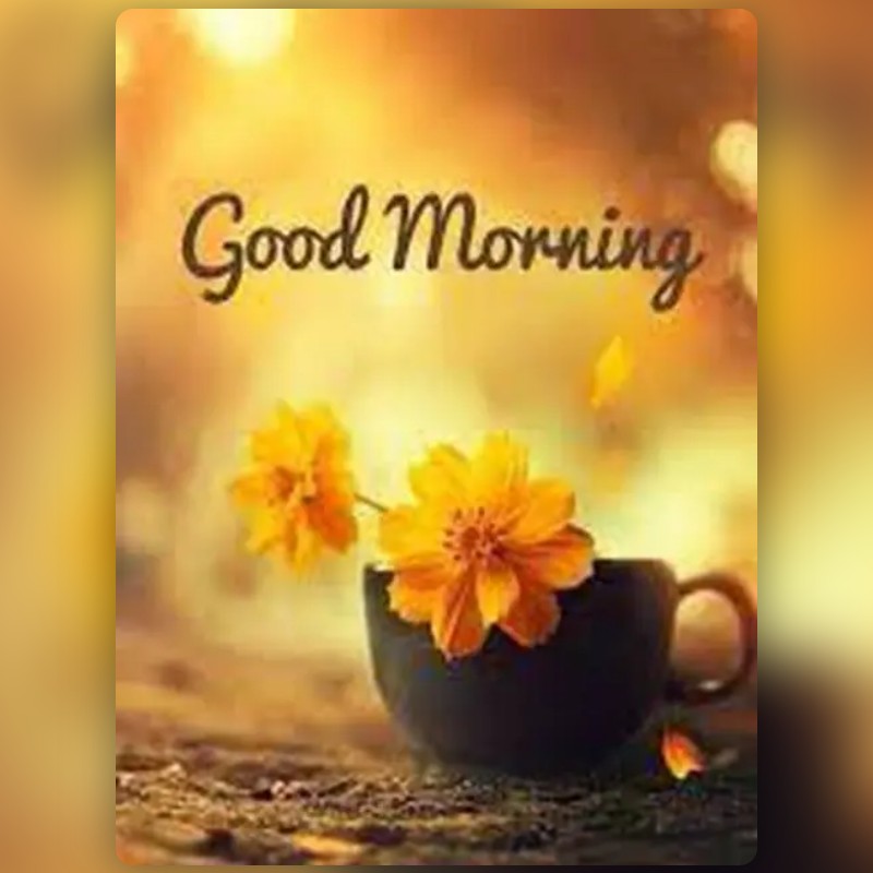 เลนส์ Good morning สร้างโดย lam_muslim1 🌴 - เลนส์และฟิลเตอร์ Snapchat