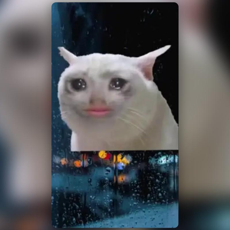 Sad Cat Lens by Ava Keller - Snapchat Lenses and Filters