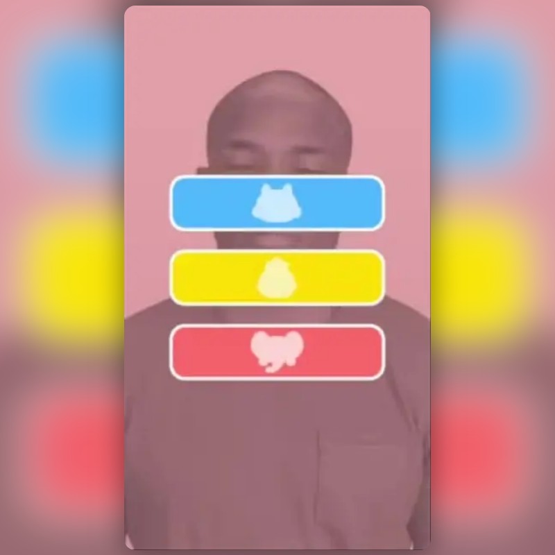 Animal Sound Lens by BHARGAV SUHAGIYA - Snapchat Lenses and Filters