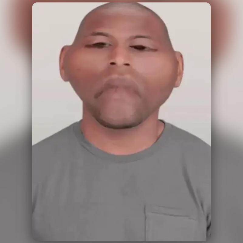 Chubby Face Monkey Filter by Hieren | Snapchat Lenses