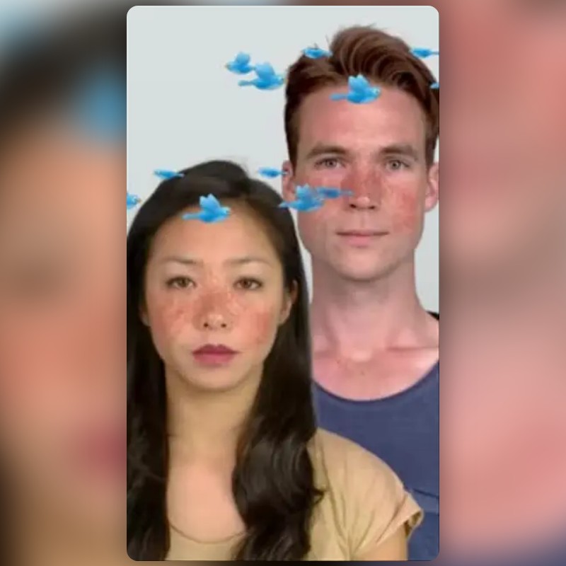 macbook birds Lens by 𝚉𝚎𝚛𝚒𝚔® - Snapchat Lenses and Filters